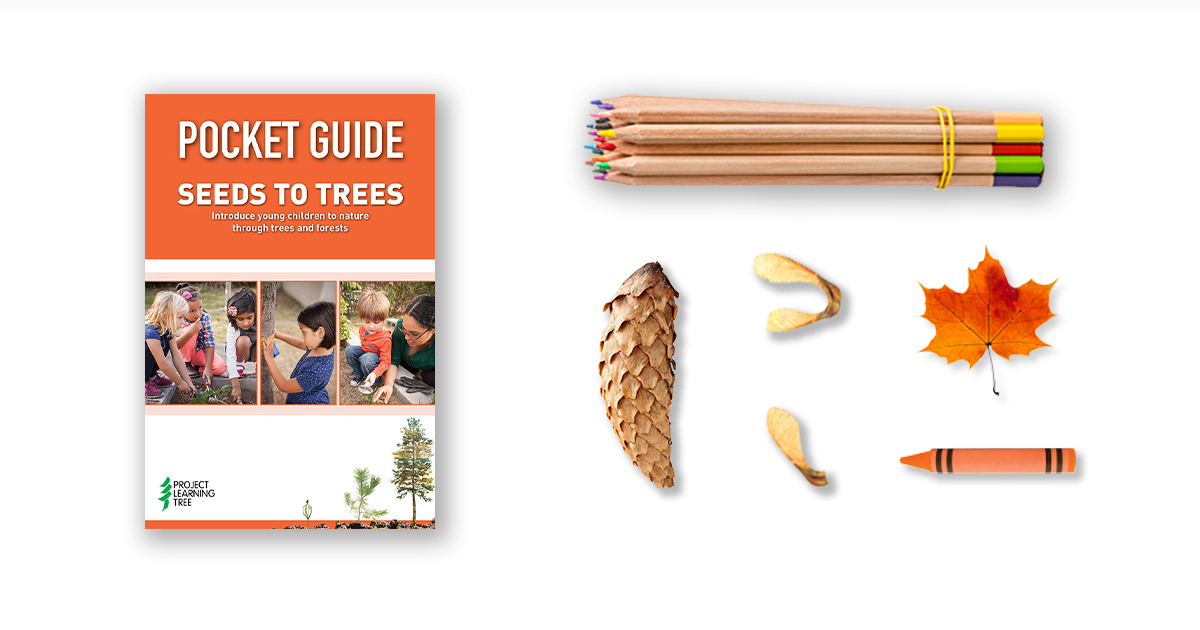 Project Learning Tree Shop | Pocket Guide: Seeds to Trees (Box)